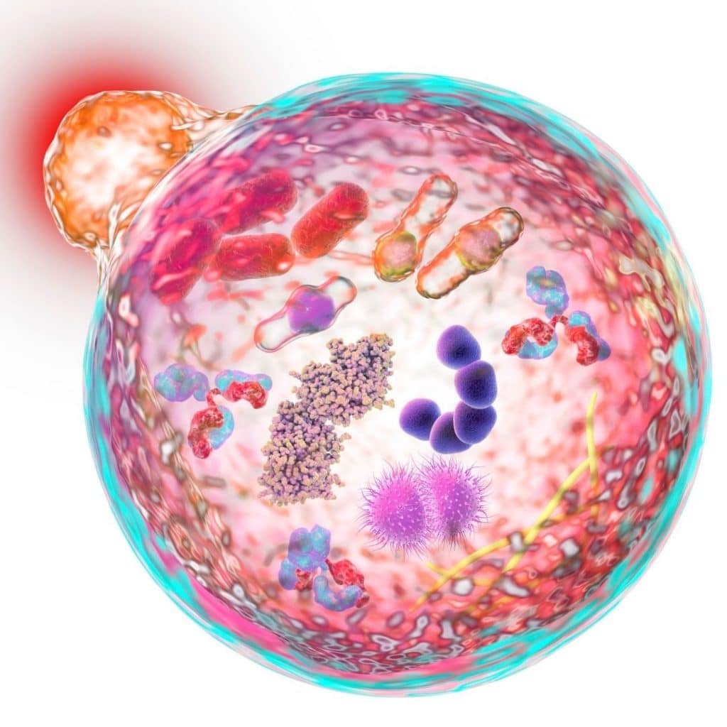 Postenje: koristno ali nepotrebno matranje? - Dr. Feelgood - Prehrana